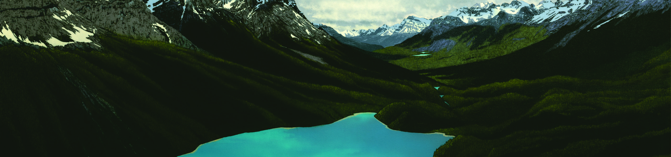 Display Stand » Leyda Campbell - The Wilderness Artist